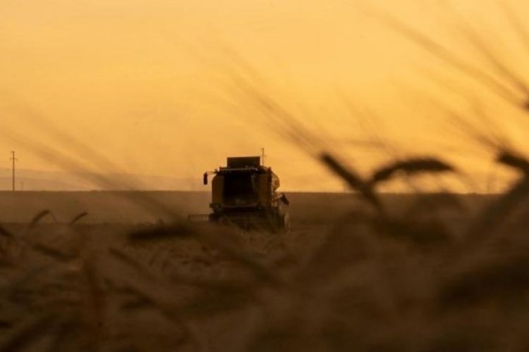 Tarım bölgeleri için yatırım rehberi - BURSA HABER Tarım bölgeleri için yatırım rehberi - BURSA HABER